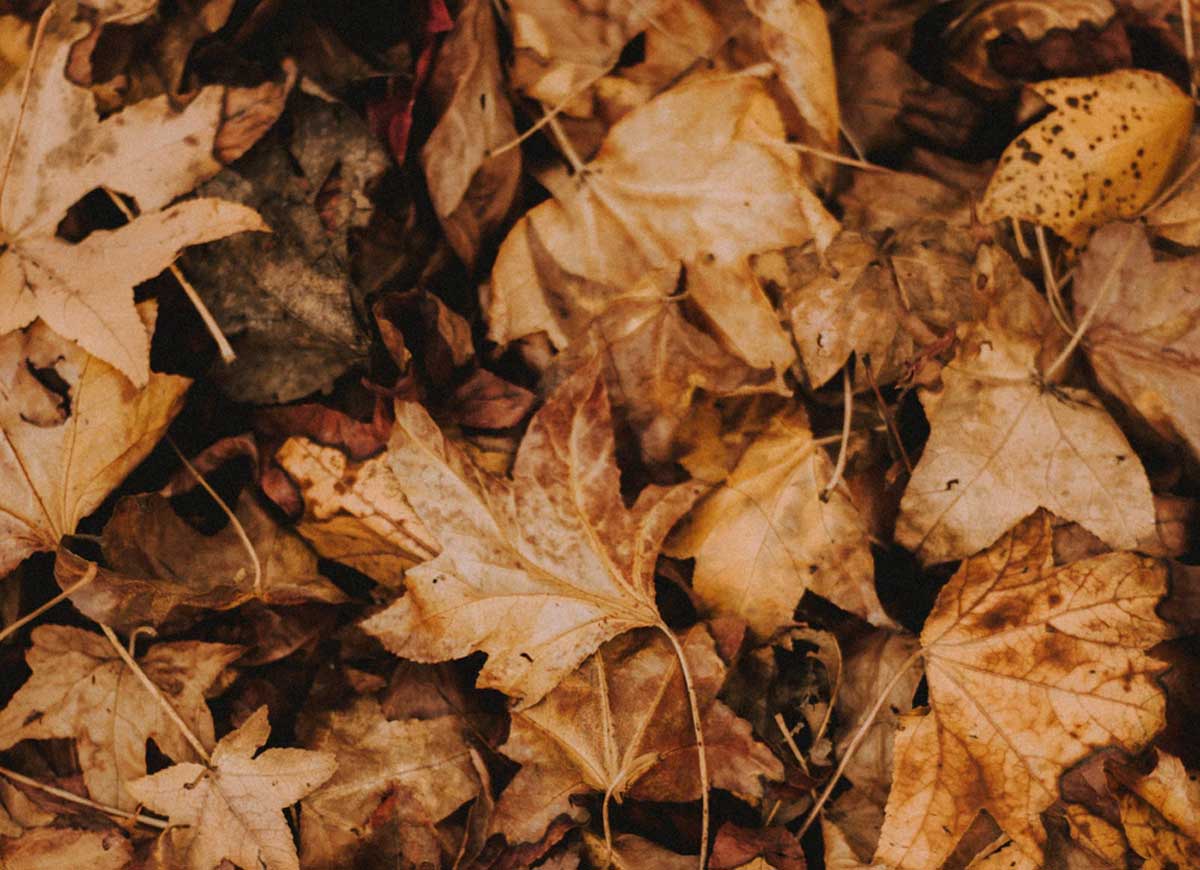 Brown colour. How to do it - The Color Blog