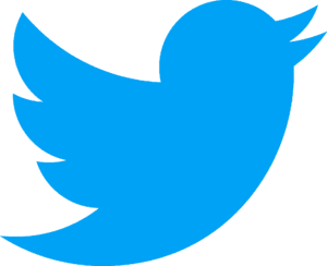 La Historia del Logo de Twitter y su marca - The Color Blog