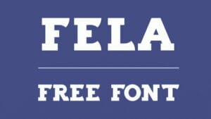 The best fonts for infographics and how to combine them - The Color Blog